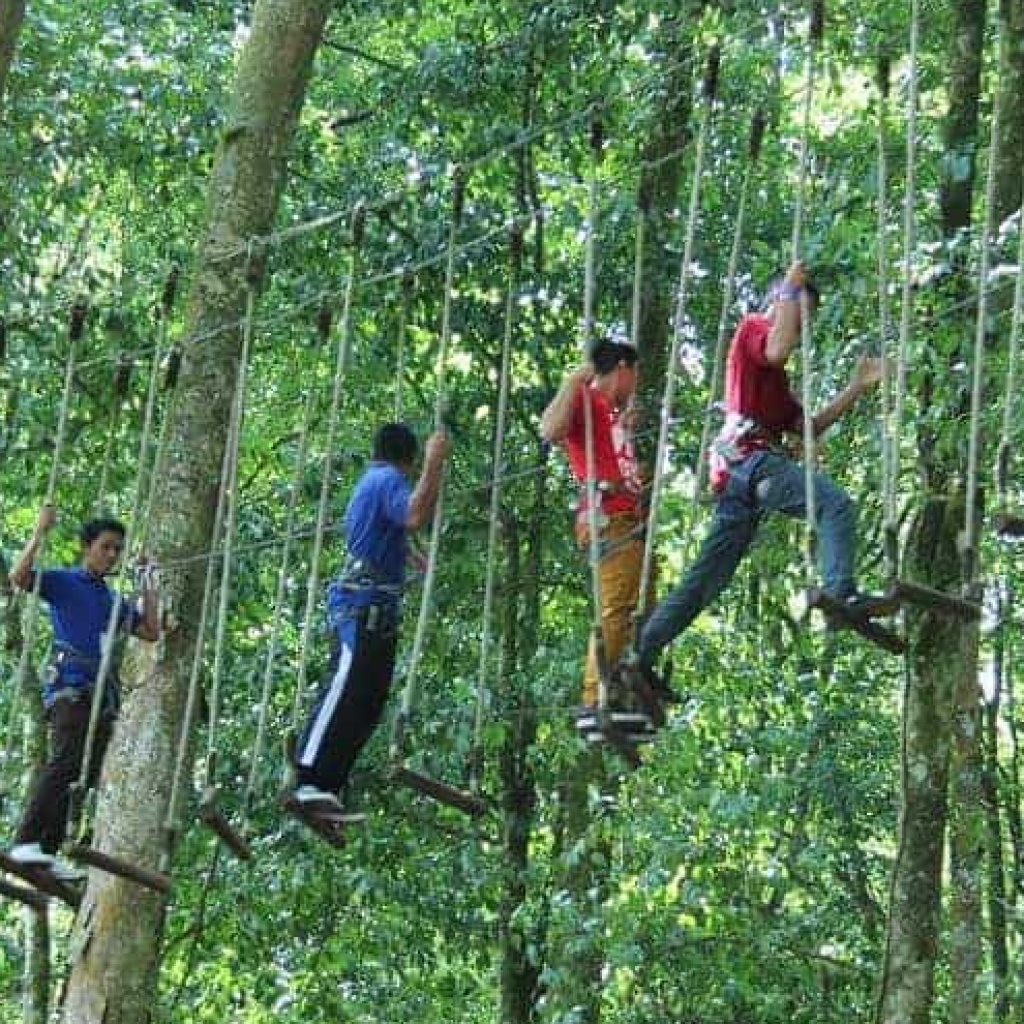 Bali Activities Must-Try - Bali Paradiso